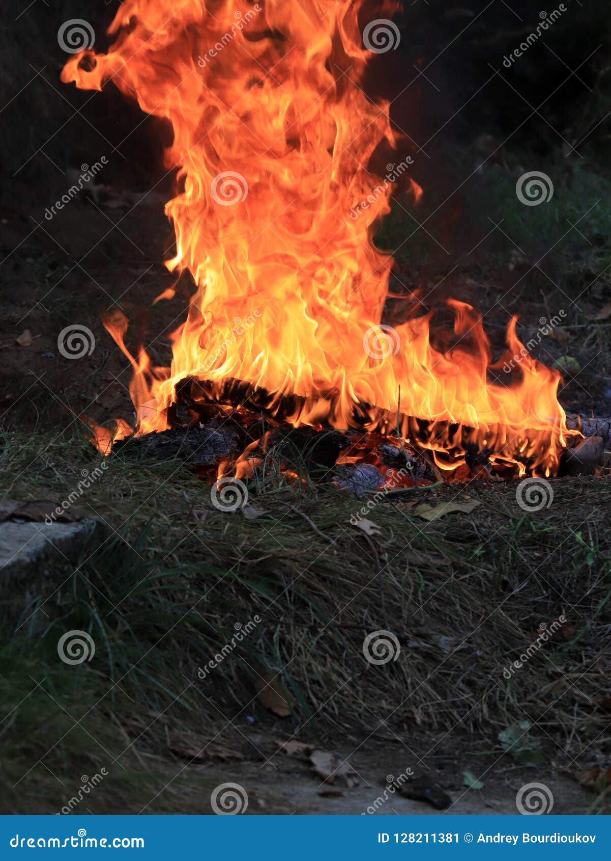 Bright Flame of Wildfire Fire Stock Image - Image of destroy, danger ...