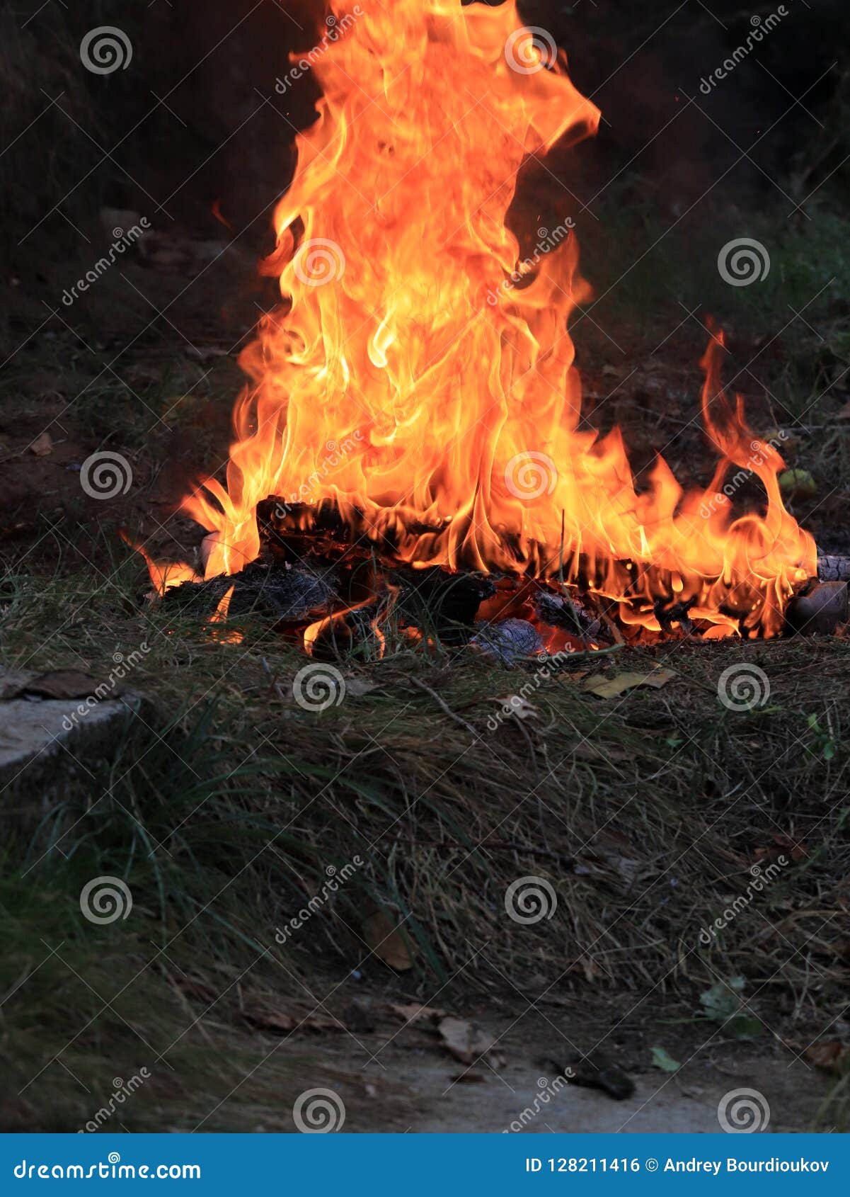 Bright Flame of Wildfire Fire Stock Photo - Image of dark, black: 128211416