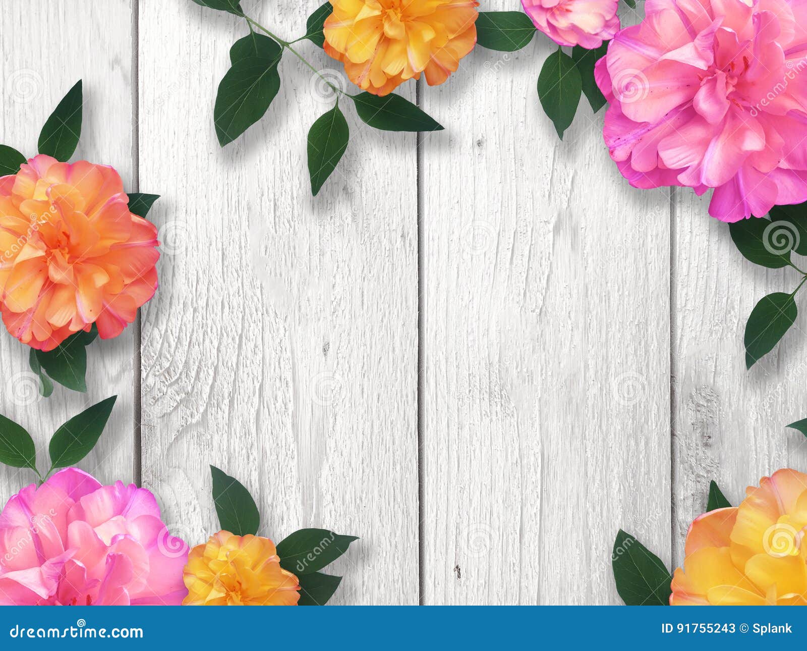 Flower Border Royalty-Free Stock Photography | CartoonDealer.com #2631527