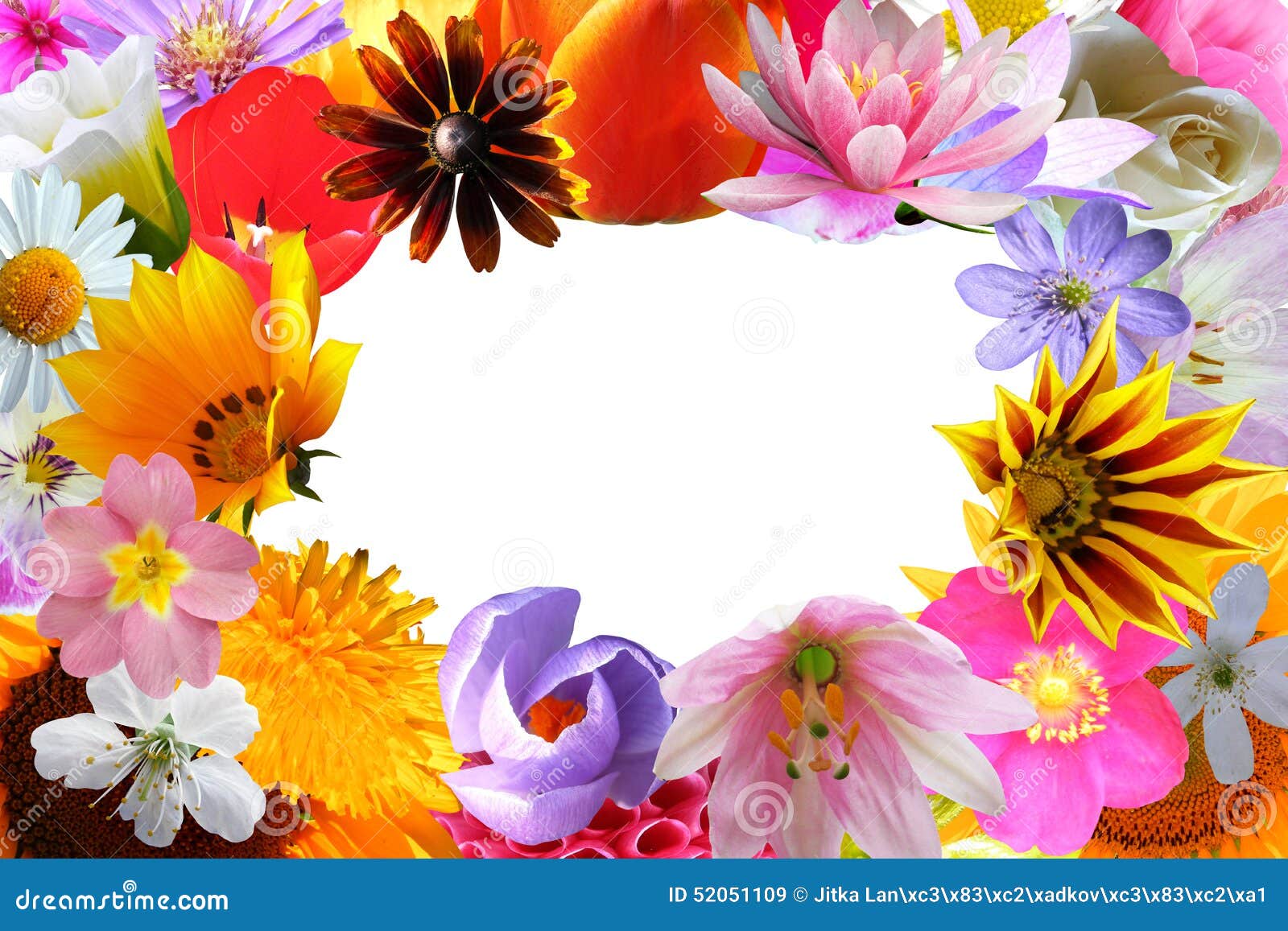 Bright flowers frame stock image. Image of blue, collage - 52051109