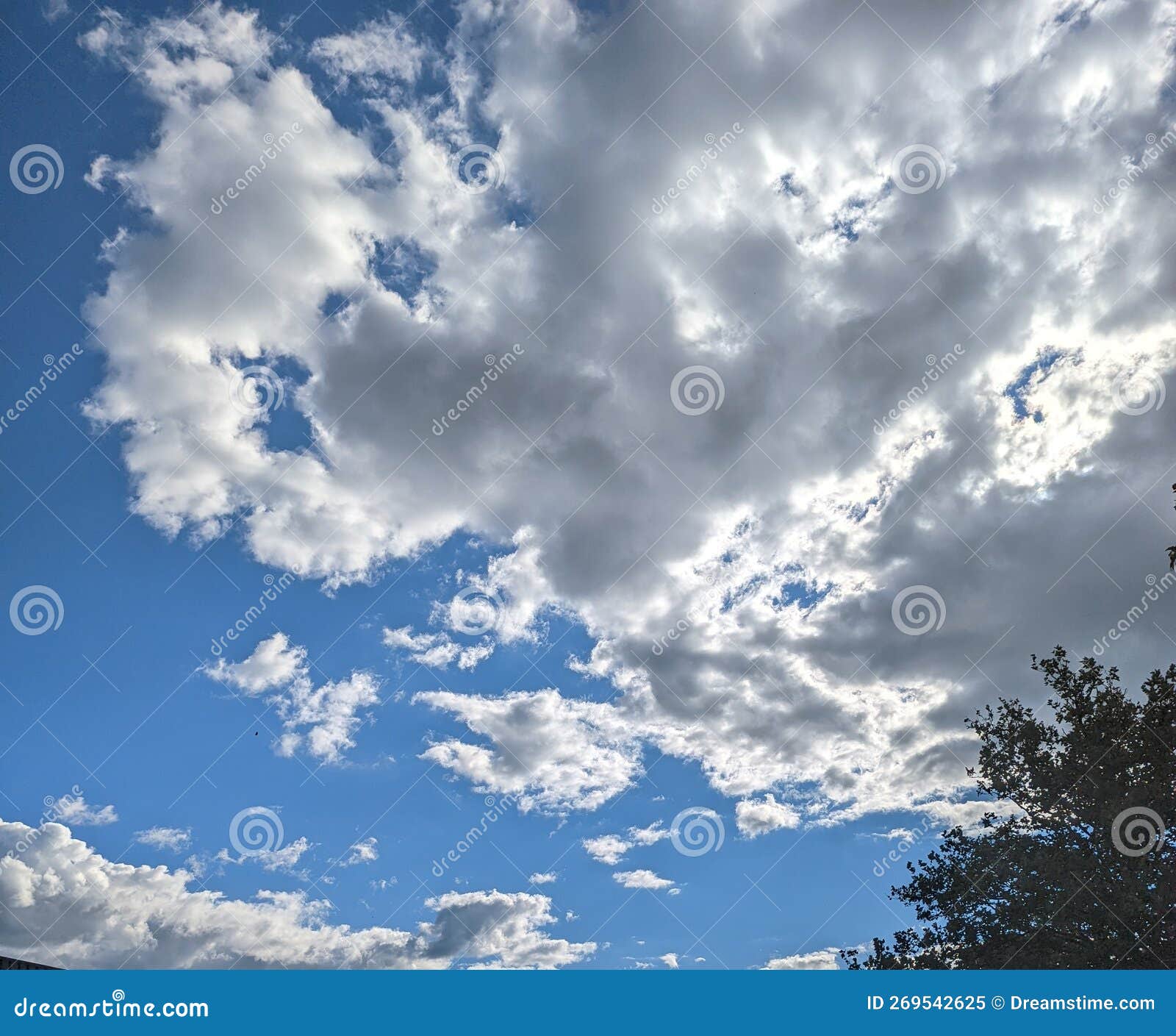 Bright Fluffy Clouds with Tree Top Stock Image - Image of field, fluffy ...