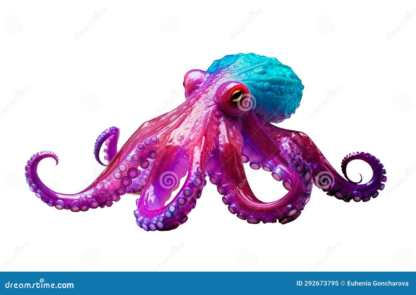 Bright Fluorescent Purple Pink Multicolored Octopus, Isolated,cut Out ...