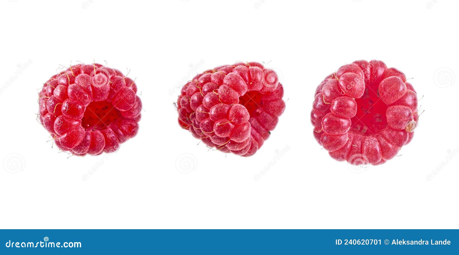 Bright Fresh Raspberry Isolated Stock Image - Image of bright ...