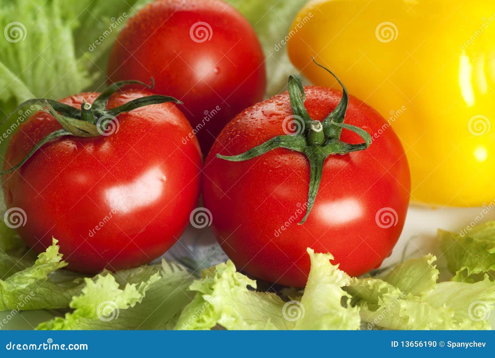 Bright fresh vegetables stock photo. Image of appetizer - 13656190