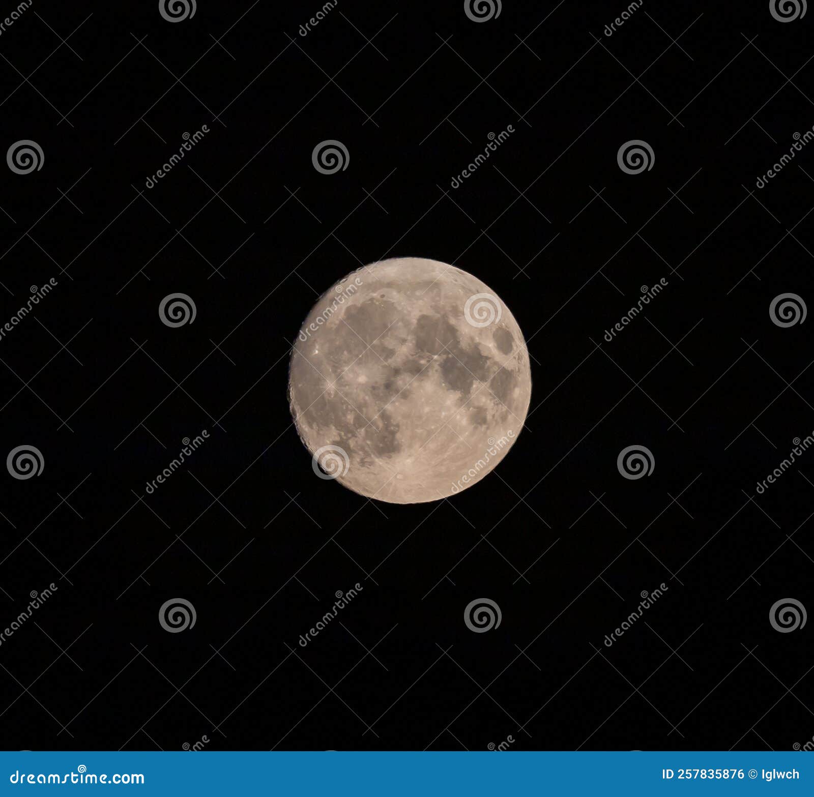 Bright Full Moon in the Dark Night Stock Photo - Image of nature ...