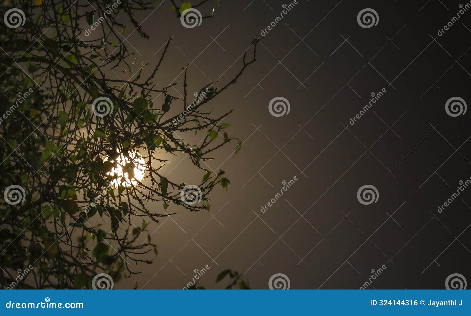 Bright full moon stock photo. Image of black, landscape - 324144316