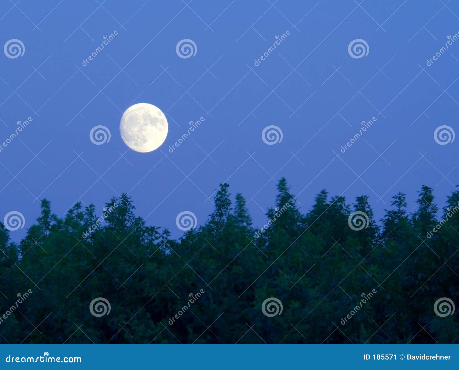 Bright Full Moon Over Trees at Dusk Stock Image - Image of green ...
