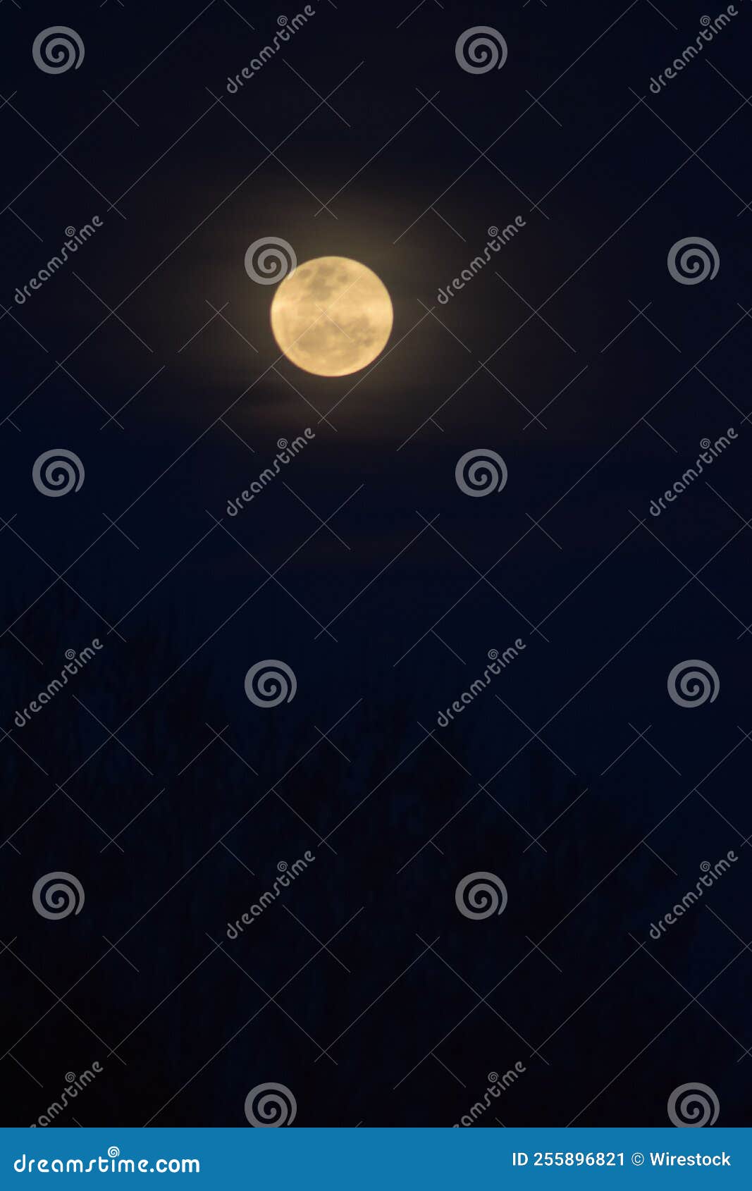 Bright Full Moon on the Sky during Nighttime Stock Image - Image of ...