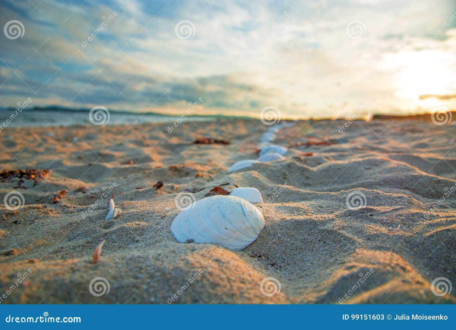 Bright Golden Sunset on the Beach, the Waves on the Sand, Shells. Stock ...