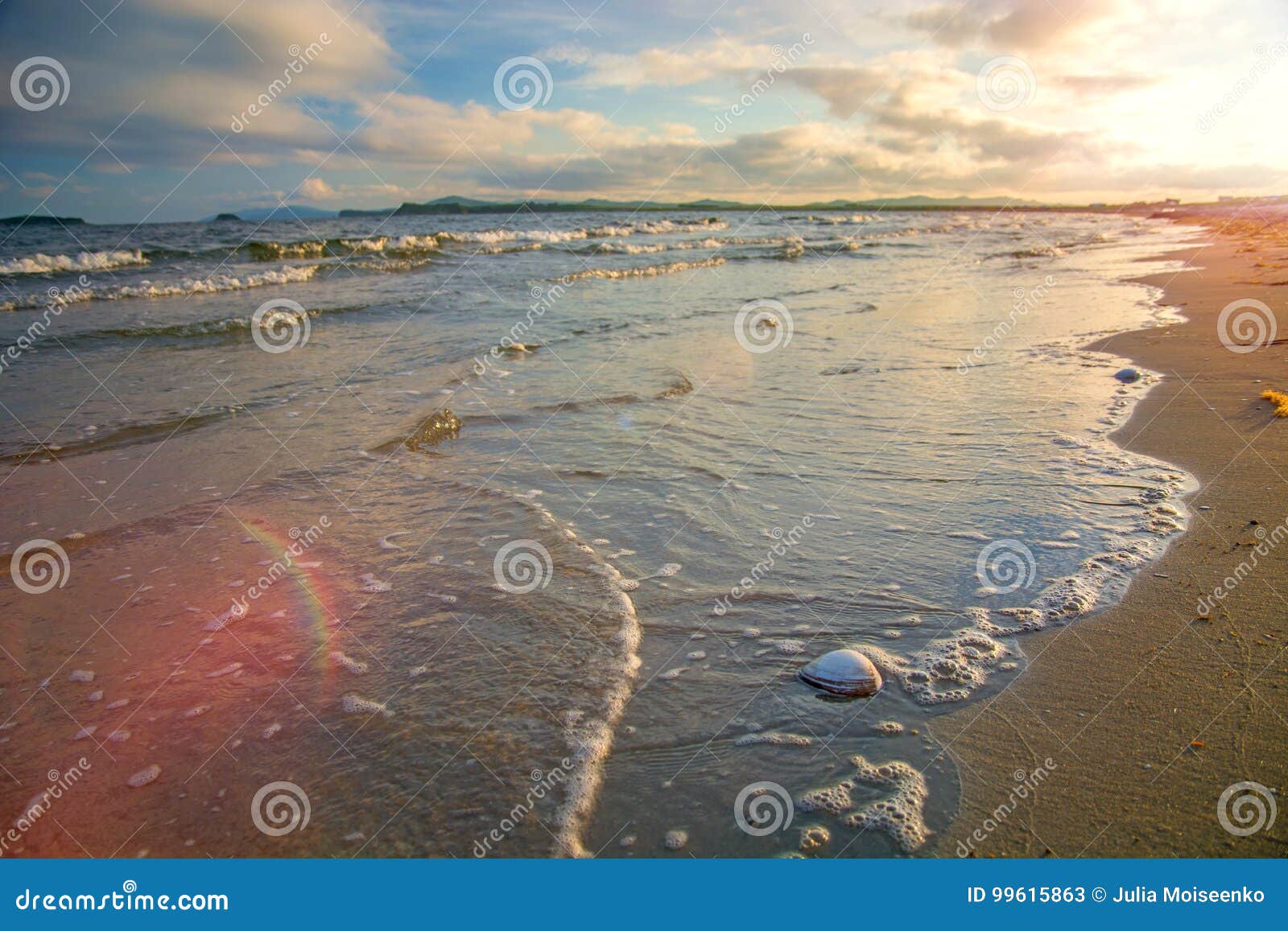 Bright Golden Sunset on the Beach, the Waves on the Sand, Shells. Stock ...