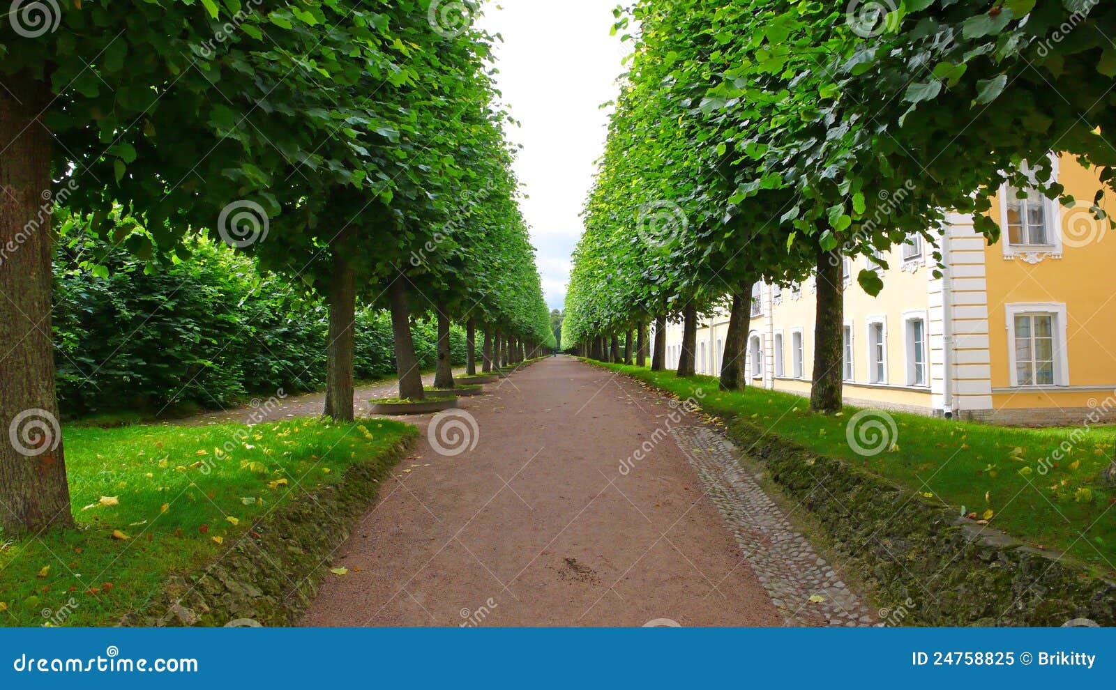 Bright Green Alley in the Park Stock Image - Image of house, track ...