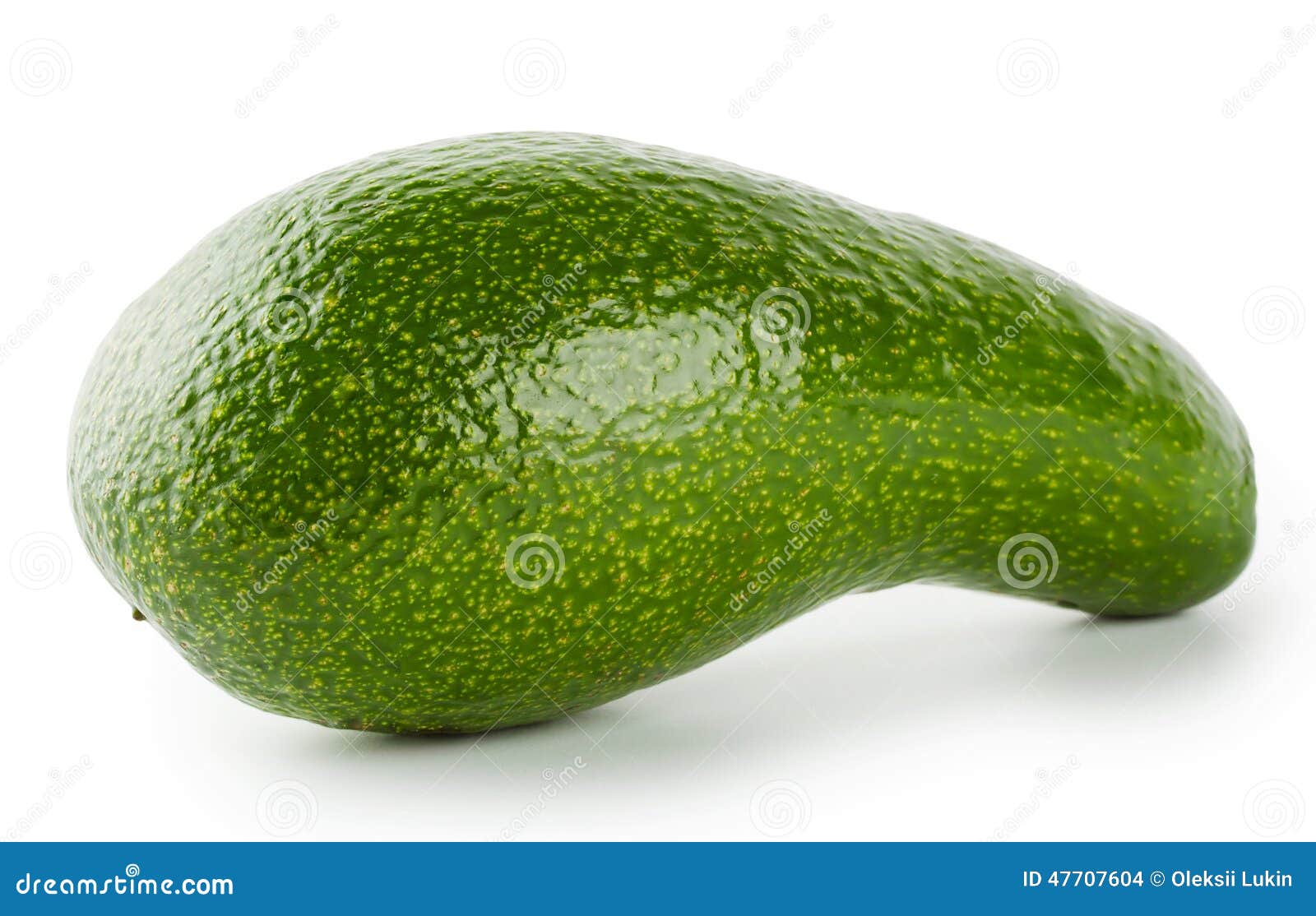 Bright green avocado stock photo. Image of avocado, isolated - 47707604