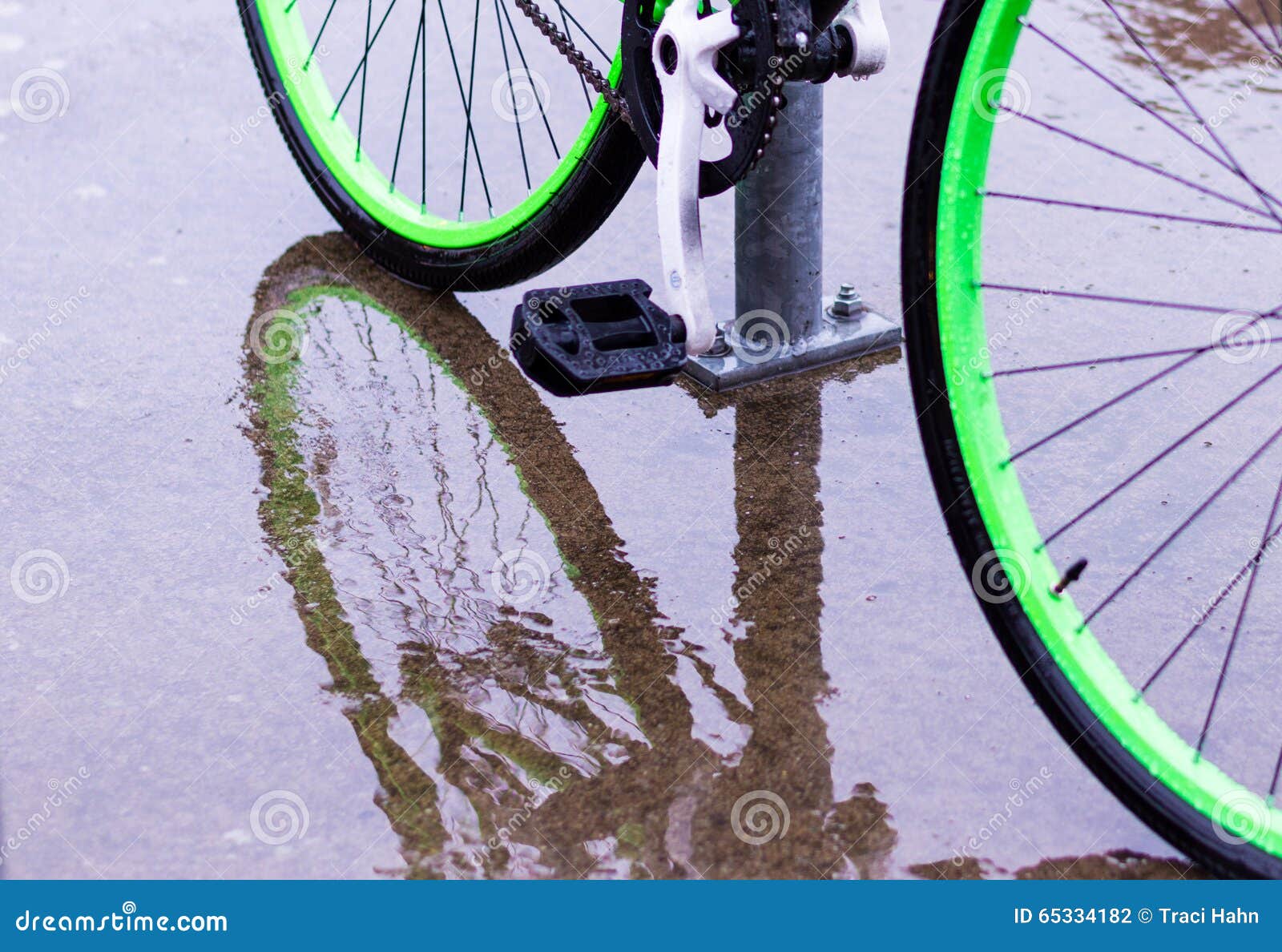 Bright Green Bicycle Wheels and Reflection. Stock Photo - Image of ...