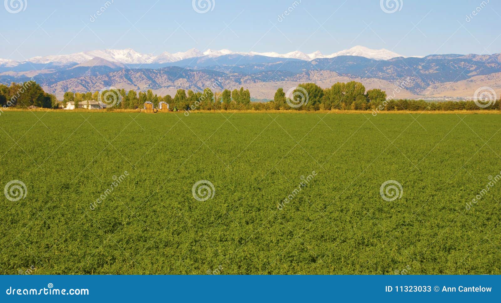 Bright Green Field and Mountains Stock Image - Image of green, sunlight ...