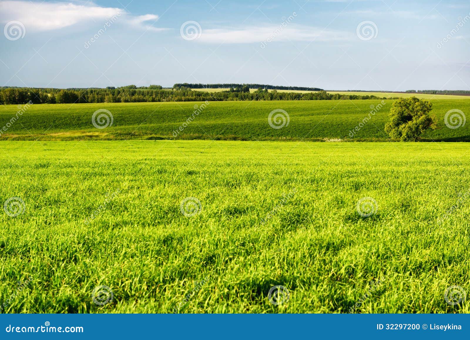 Bright green fields stock photo. Image of bright, natural - 32297200