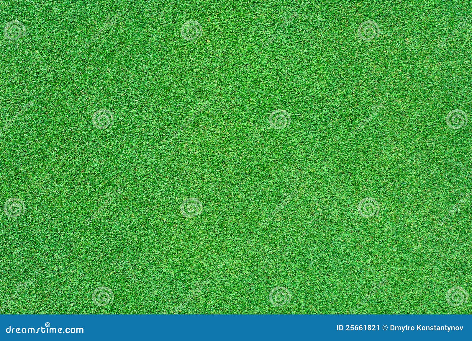 Bright green grass stock image. Image of beautiful, green - 25661821