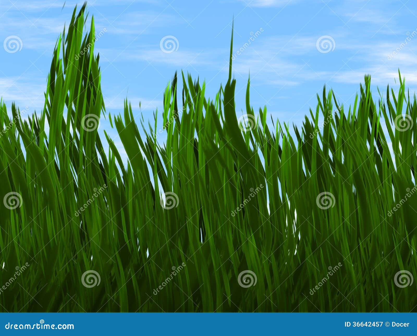 Bright Green Grass on a Blue Sky Backgrounds Stock Image - Image of ...