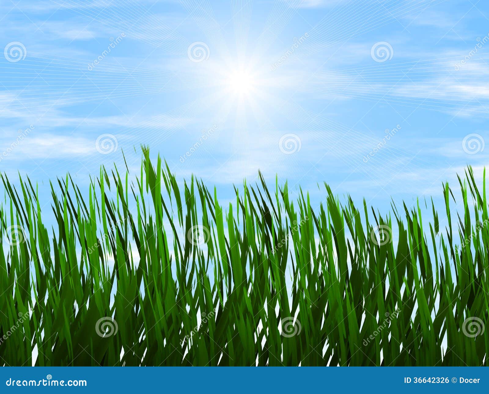 Bright Green Grass on a Blue Sky Sunbeam Backgrounds Stock Photo ...
