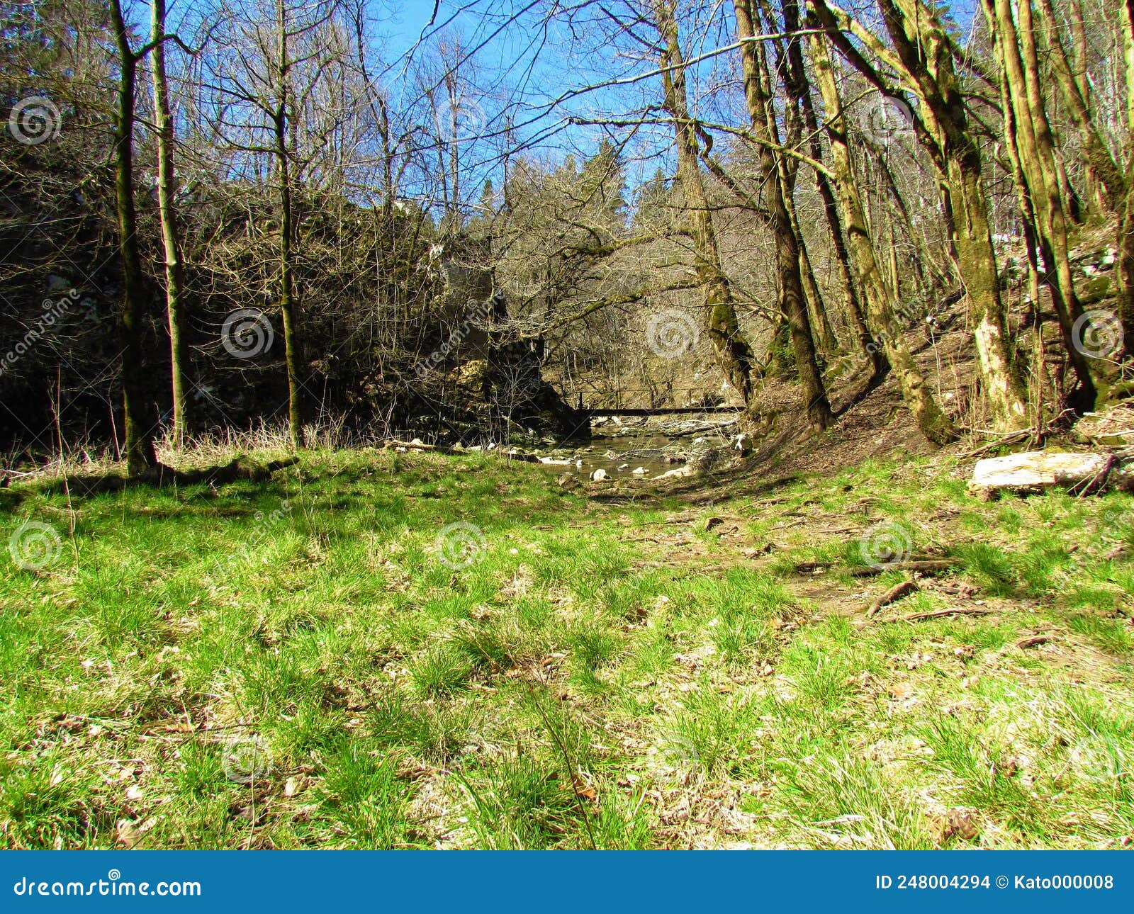 Bright Green Grass Field Surrounded by Trees and a Stream Stock Photo ...