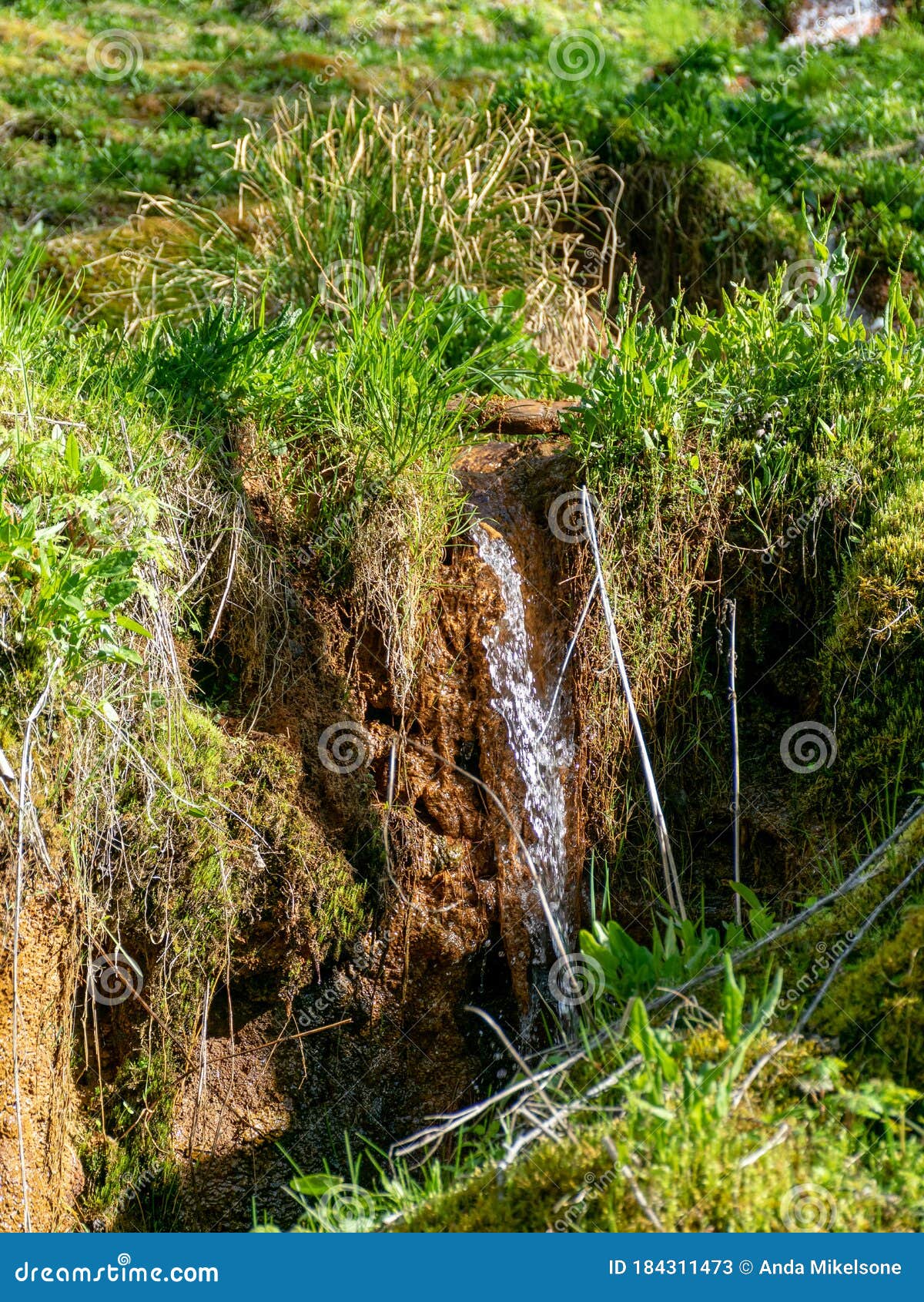 Moss Overgrown Stairs And Stone Royalty-Free Stock Photography ...
