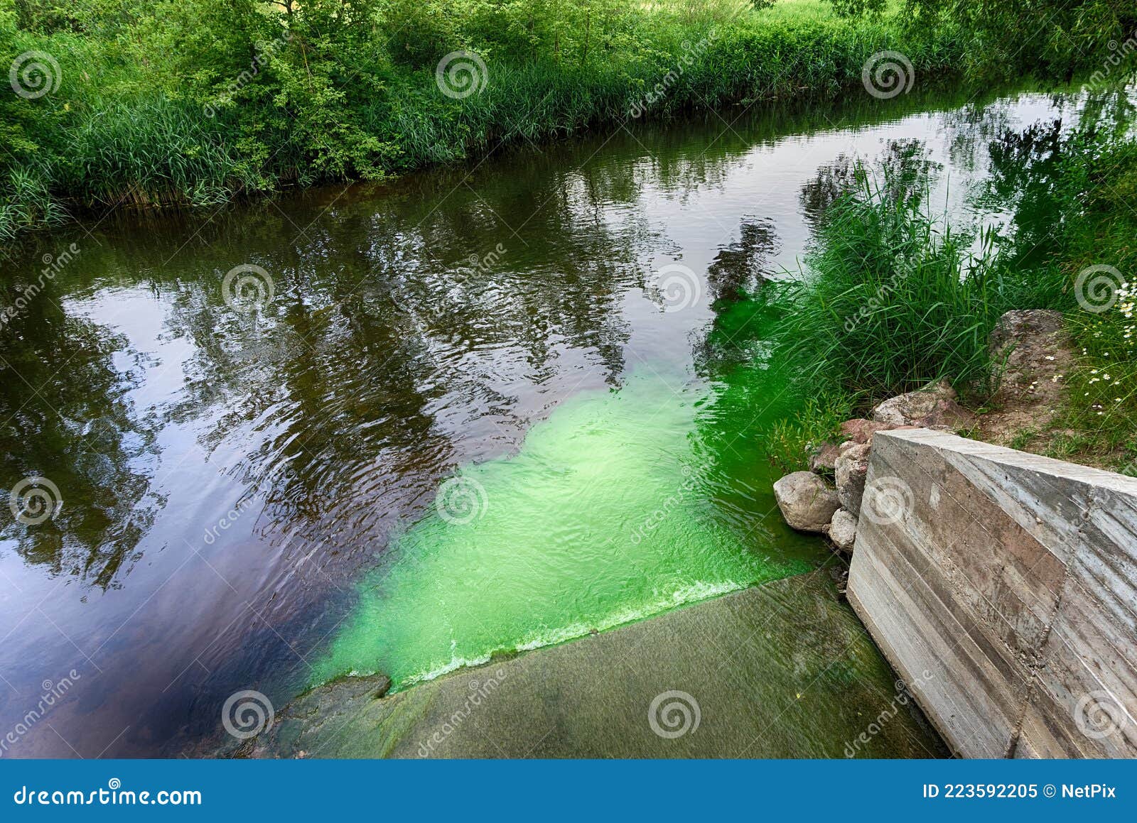 Bright Green Polluted Effluent Flowing into a Pristine Waterway Stock ...