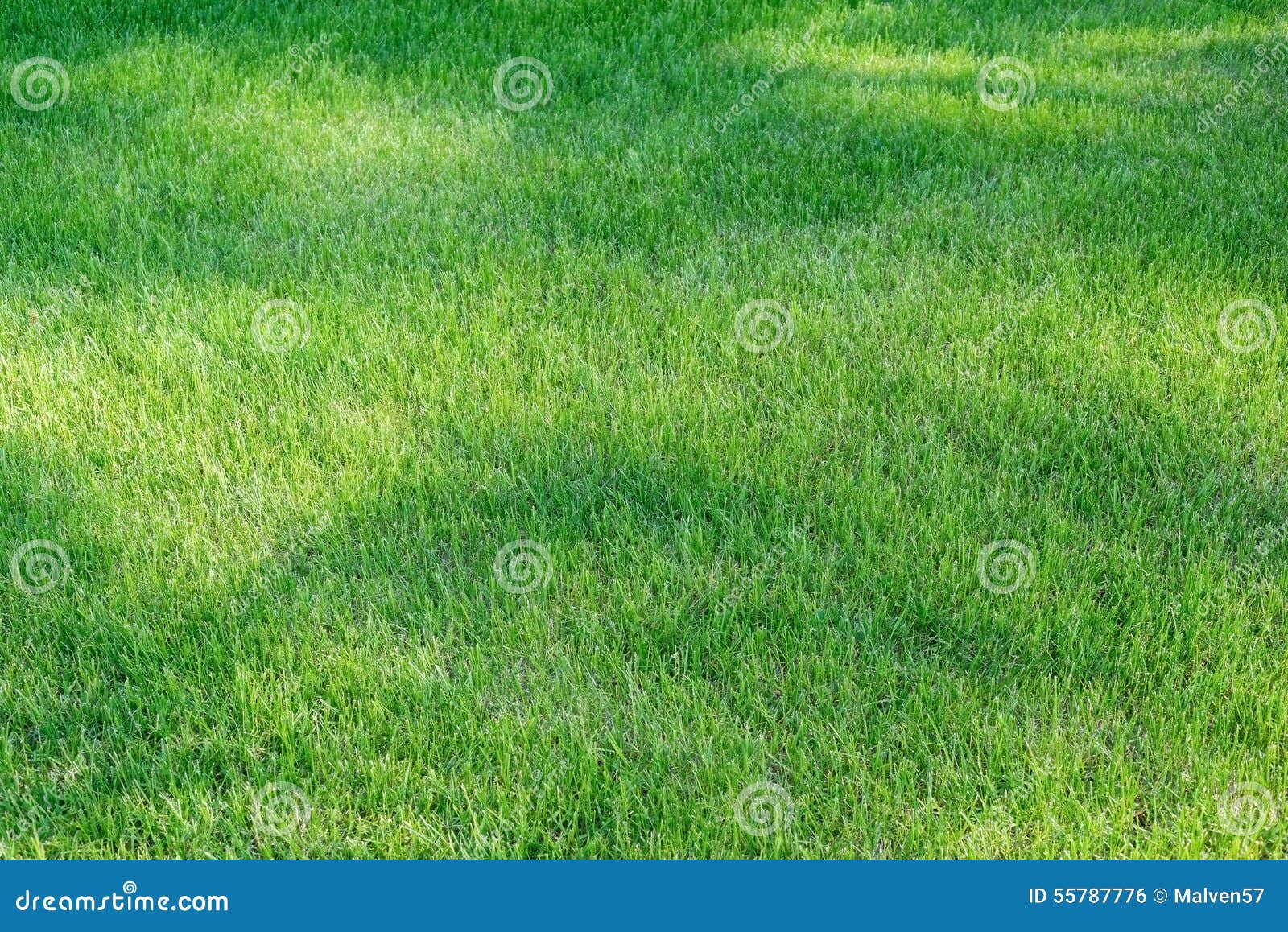 Short Grass Lawn And Seamless Rock Texture Stock Photography ...