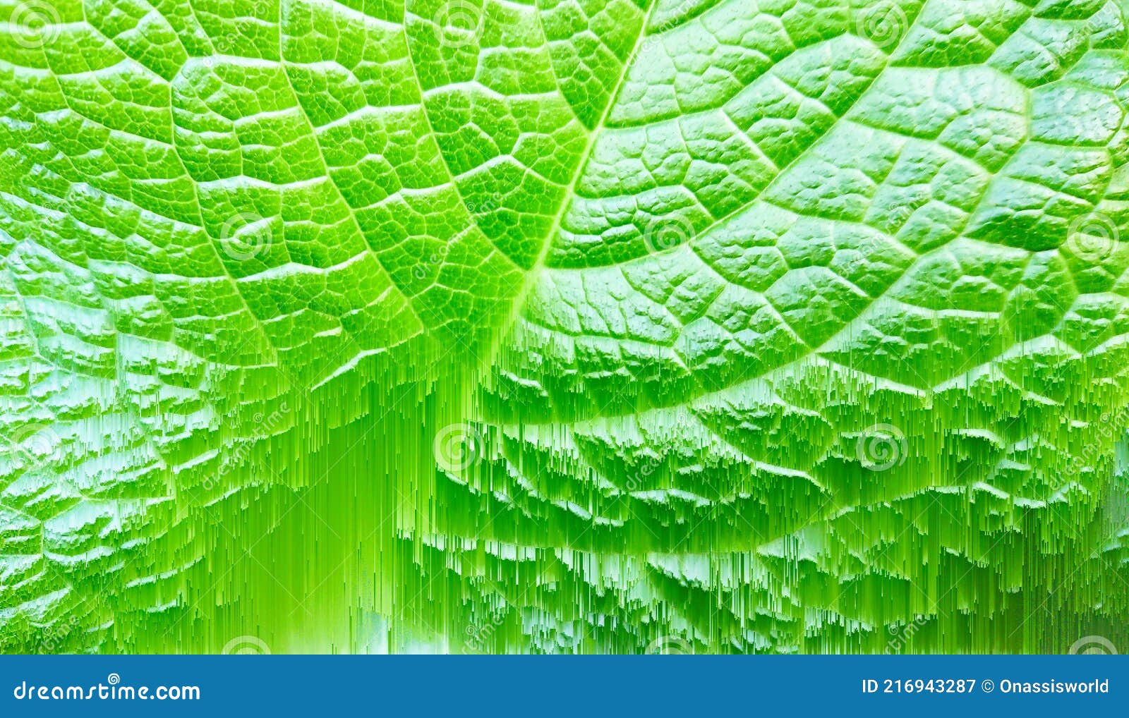 Bright Green Summer Leaf Abstract Background Textures Templates Stock ...