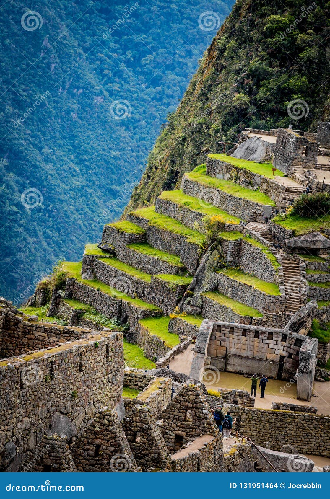 Bright Green Terraces of Machu Picchu Editorial Stock Image - Image of ...