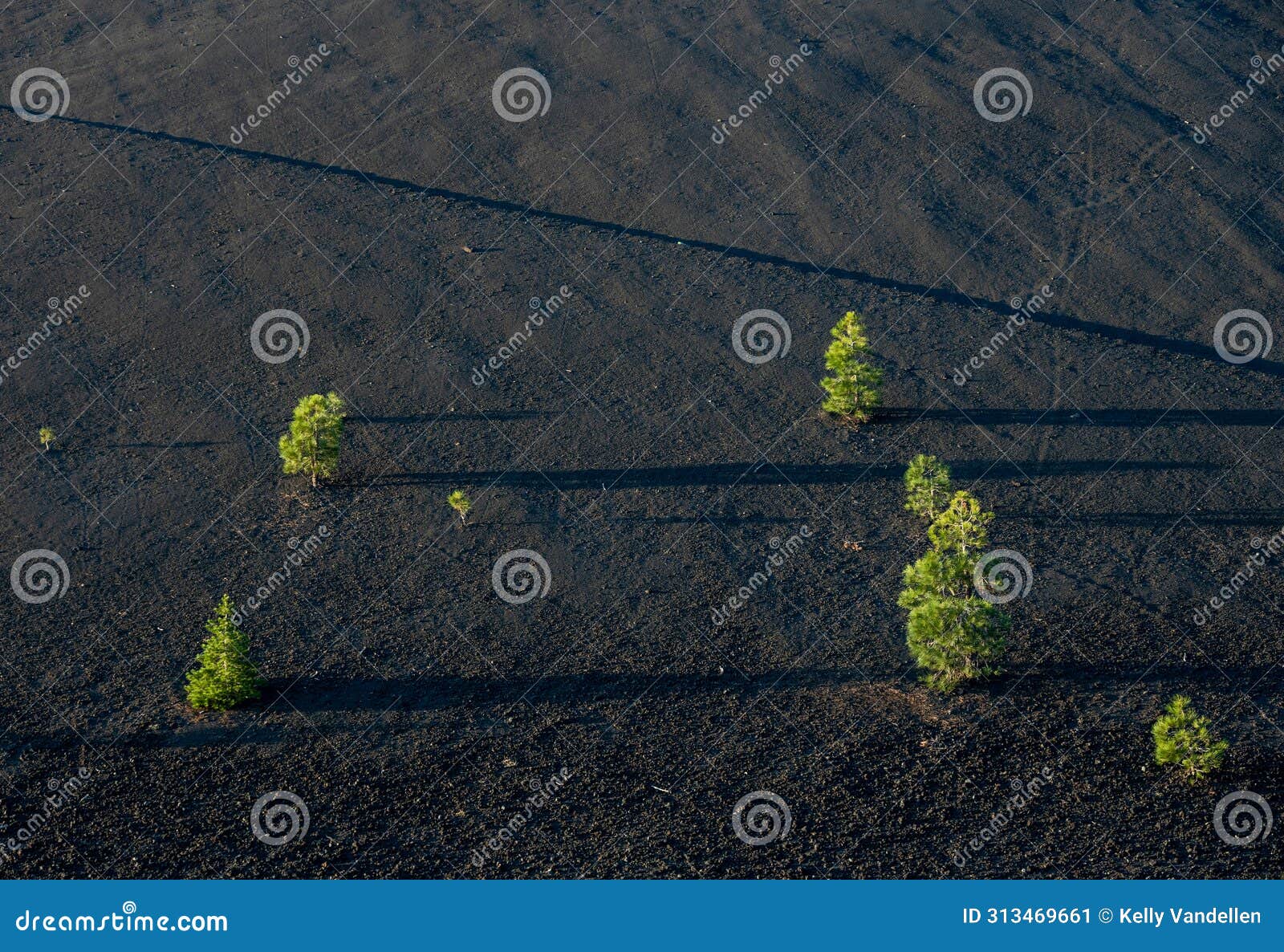 Bright Green Trees Dot the Side of Cinder Cone in Lassen Stock Image ...