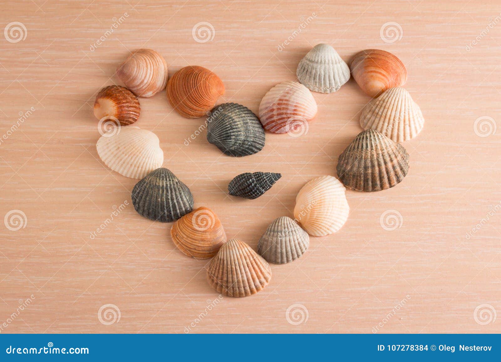 Bright Heart from Sea Shells Stock Photo - Image of concept, shells ...