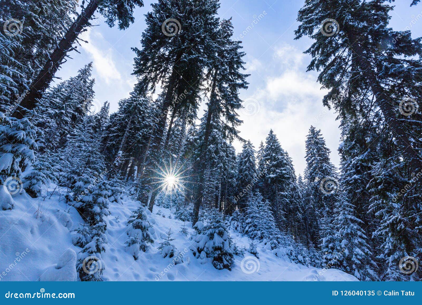 Bright High Alpine Winter Scenery, with Fresh Snow and Mist, in the ...