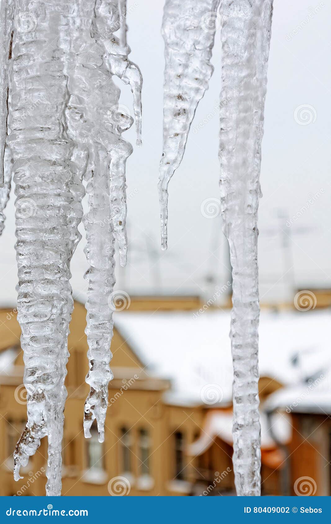 Bright Icicles Which are Hanging Down from a Roof. Ice Texture Stock ...