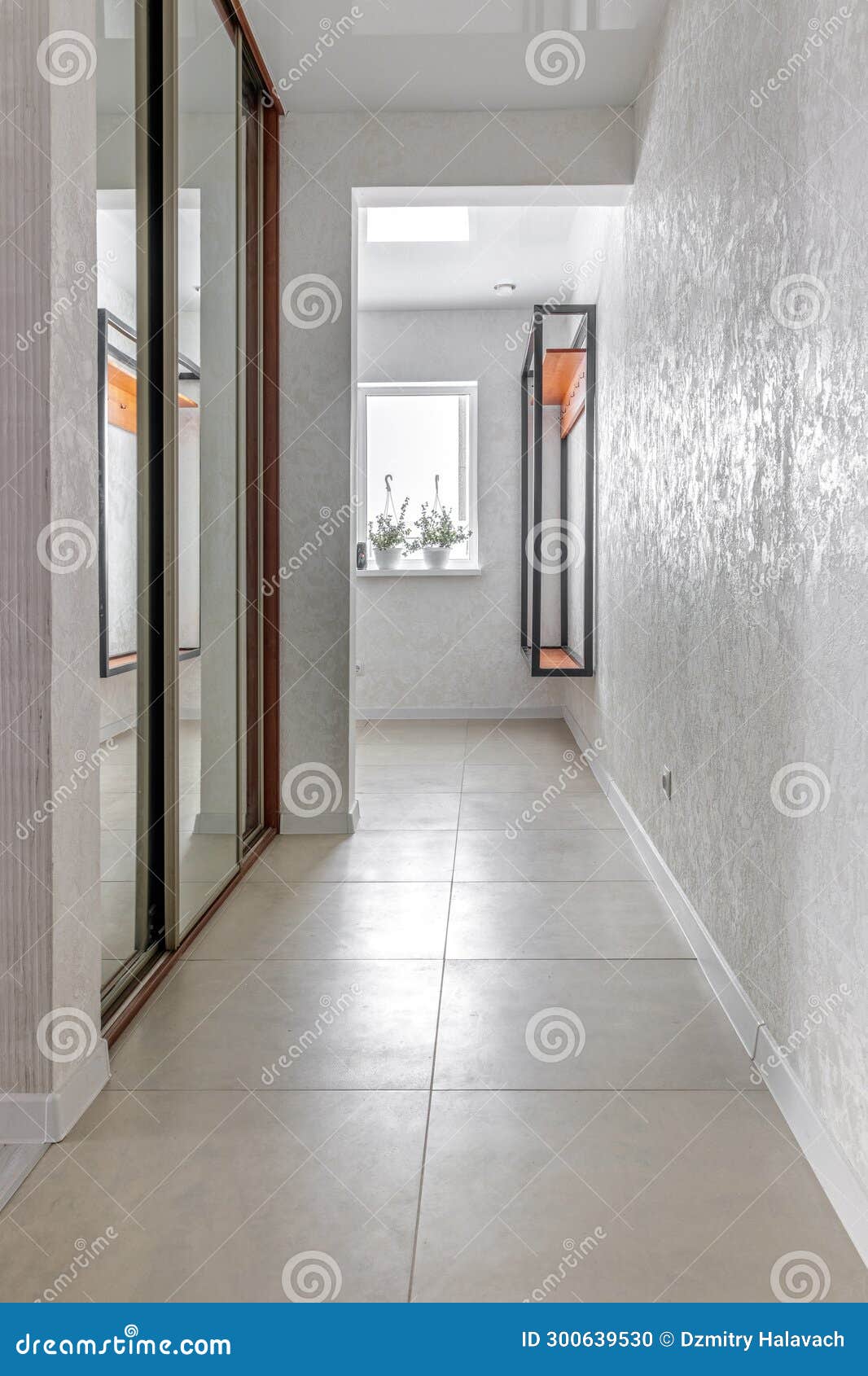 Bright Interior of the Corridor with a Mirror Door and Closet Stock ...