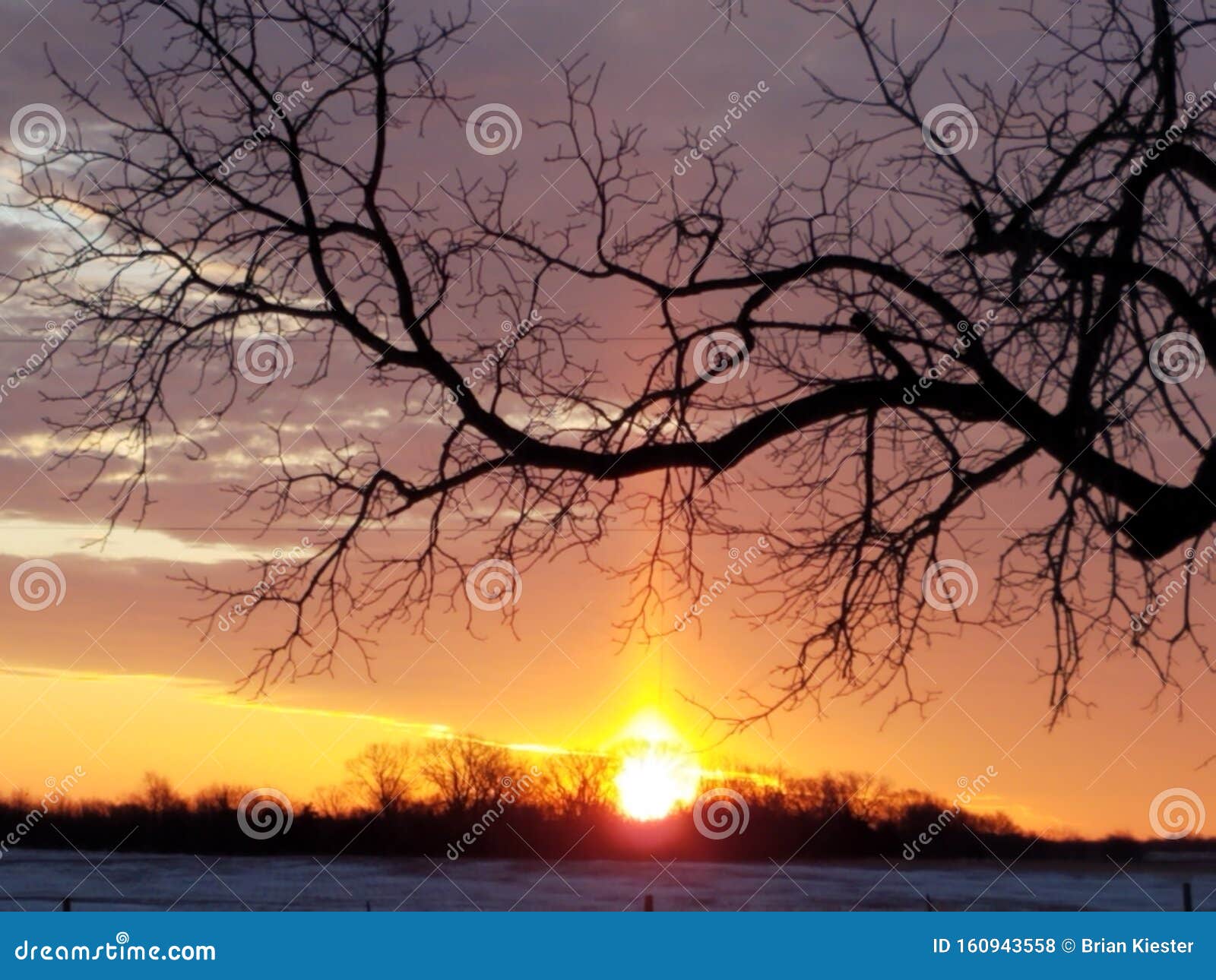 Bright Light in the Distance Stock Photo - Image of distance, light ...