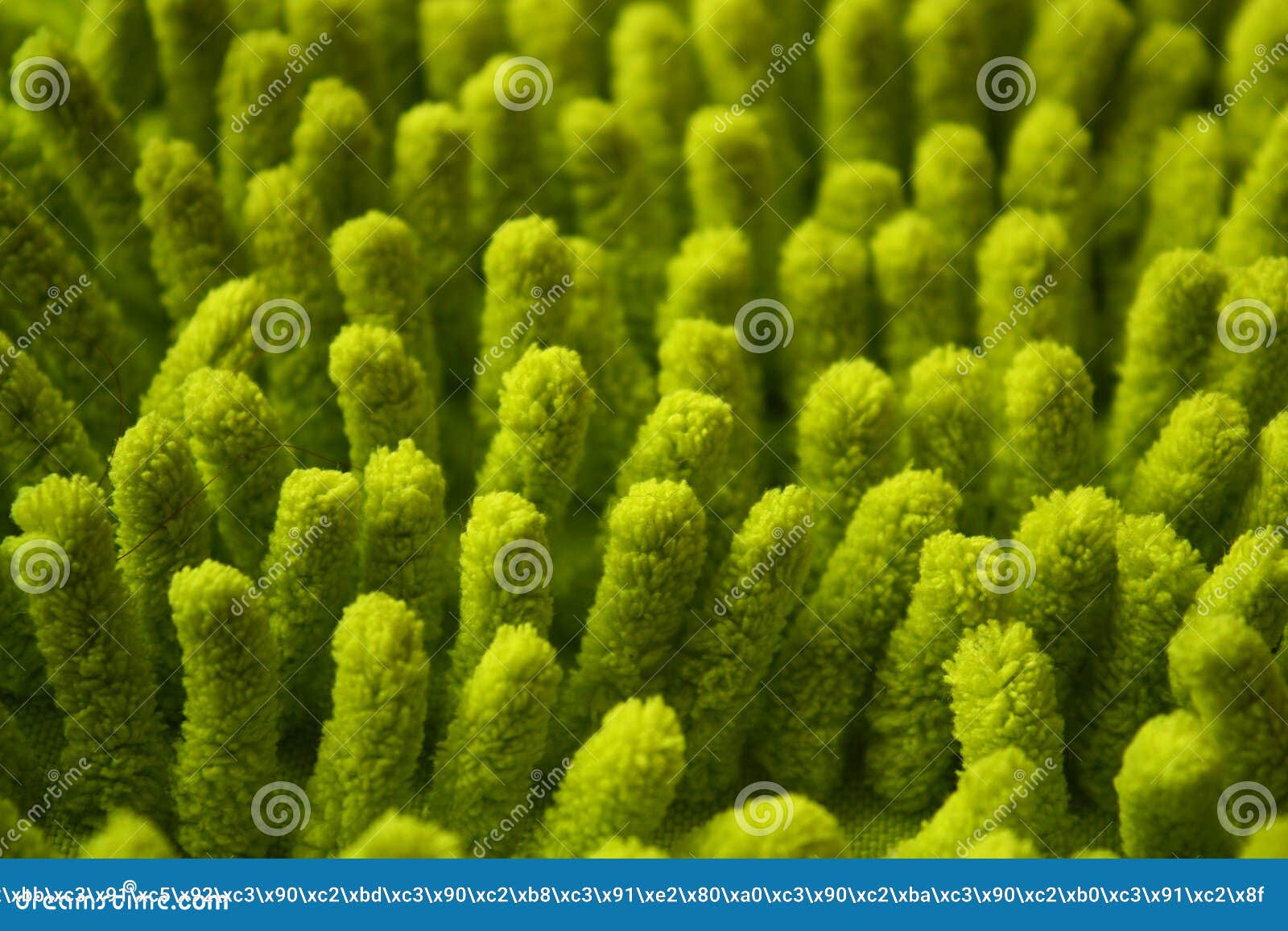 Bright Light Green Fluffy Rug Texture. Modern Carpet Background Stock ...