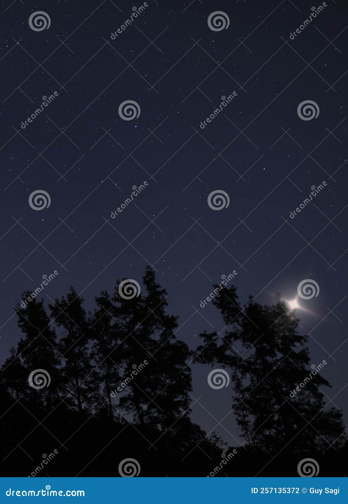 Bright Light Just Above the Tree Line at Night Stock Photo - Image of ...