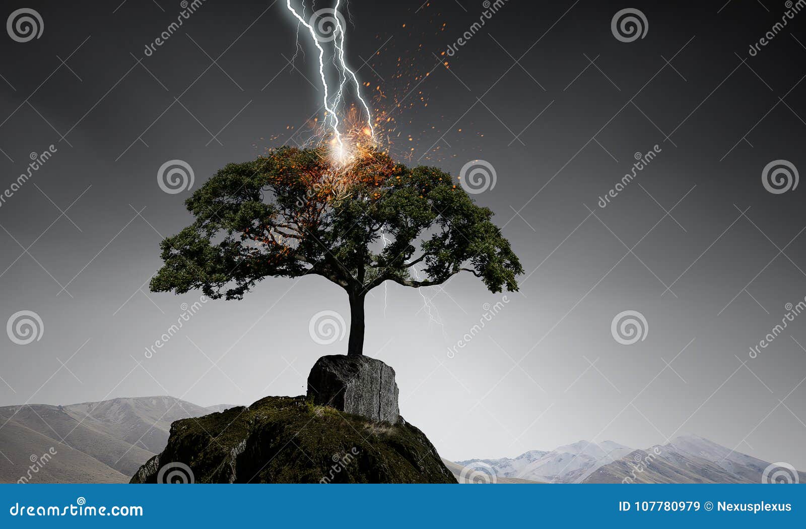 Bright Lightning Hit the Tree Stock Image - Image of thunderstorm ...