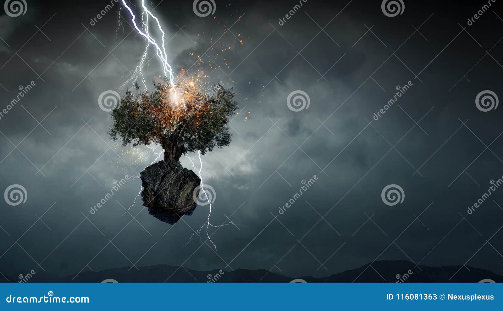 Bright Lightning Hit the Tree Stock Image - Image of bolt, weather ...