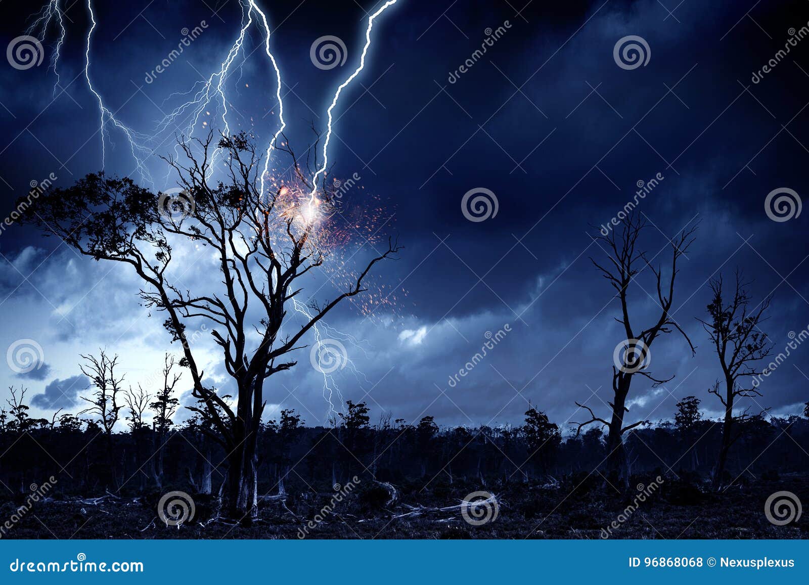 Bright Lightning Hit the Tree Stock Photo - Image of tree, autumn: 96868068