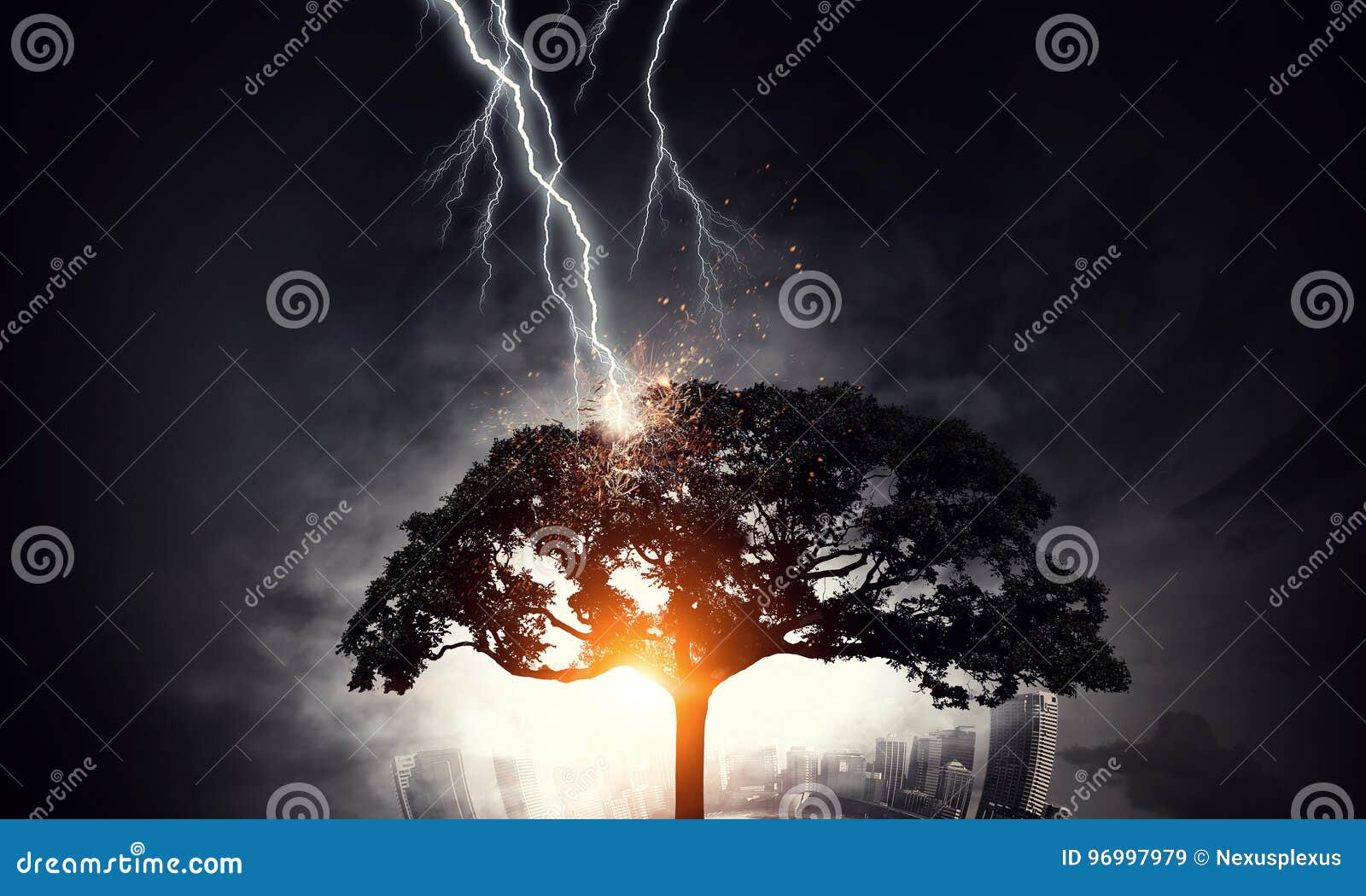 Bright Lightning Hit the Tree Stock Image - Image of darkness, tree ...