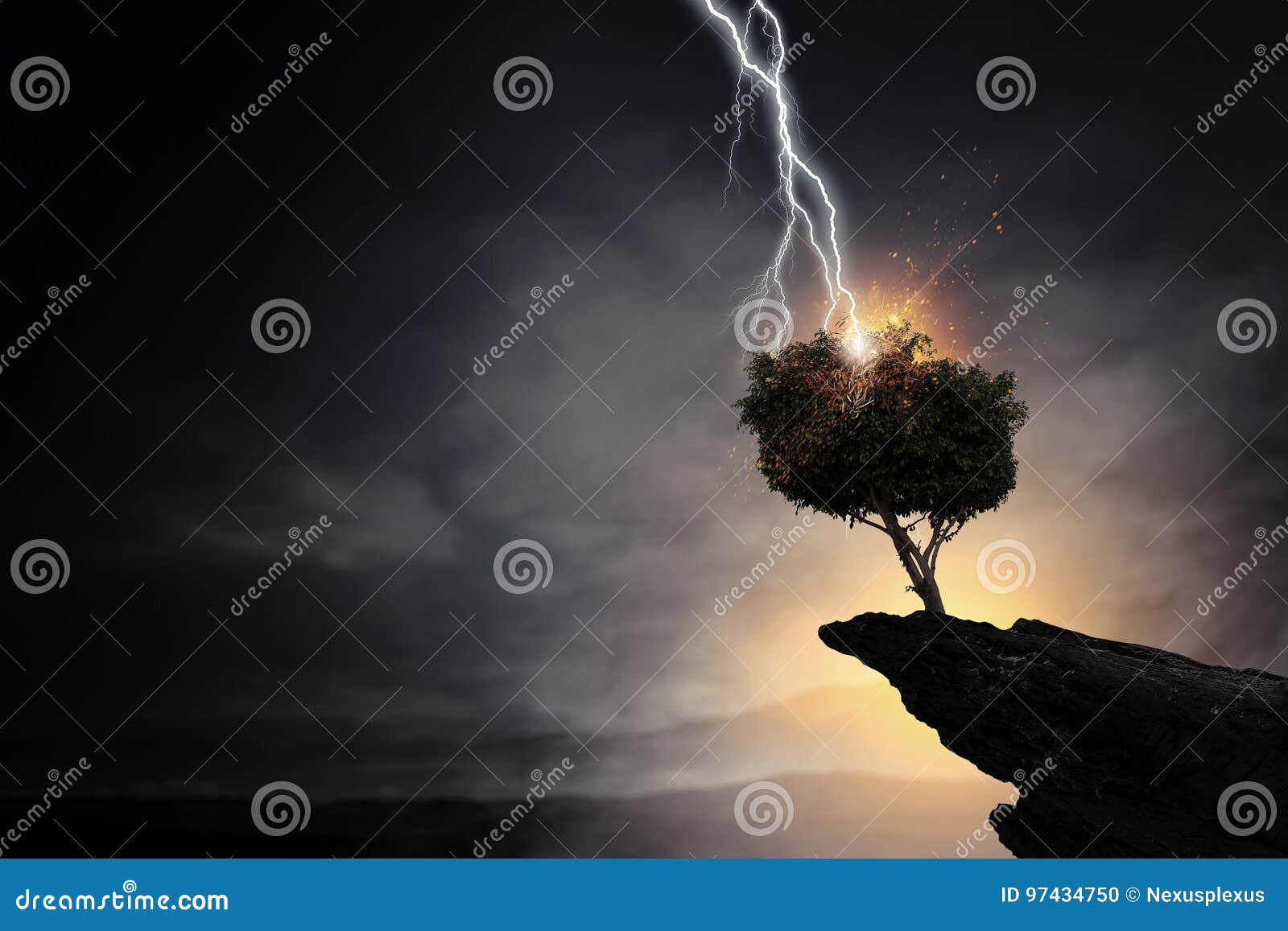 Bright Lightning Hit the Tree Stock Photo - Image of lightning, weather ...