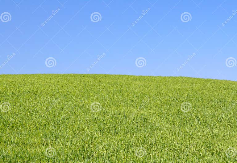 Bright meadow stock photo. Image of countryside, enviroment - 886794
