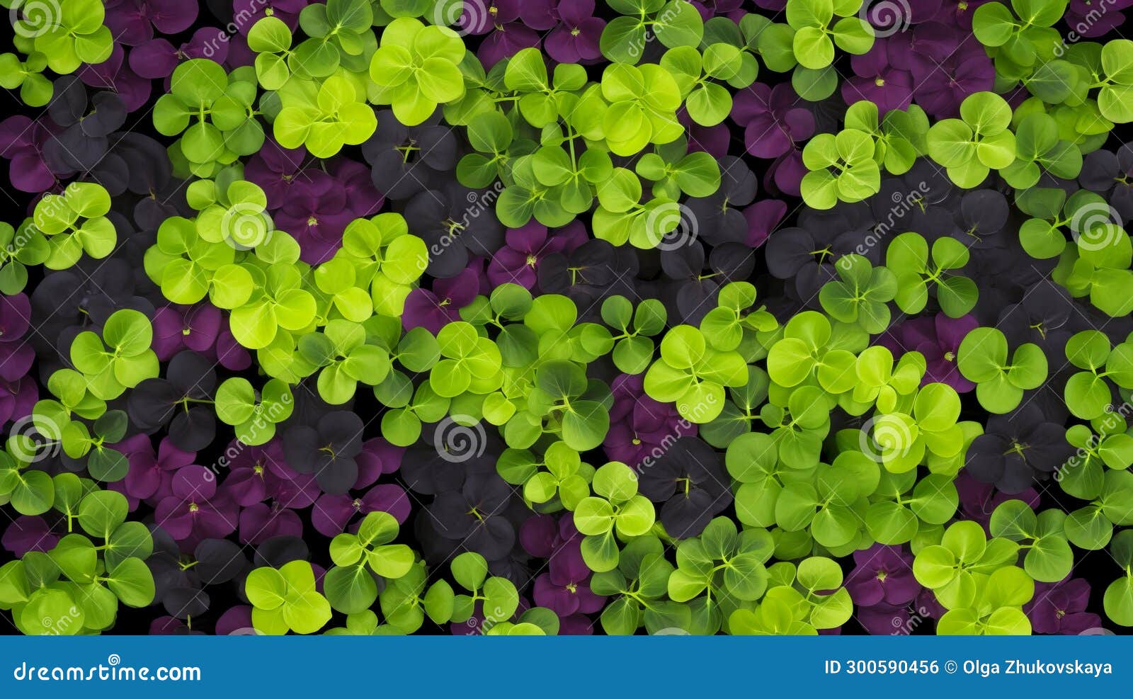 Bright Nutrition Facts Vector Package Labels With Calories And ...