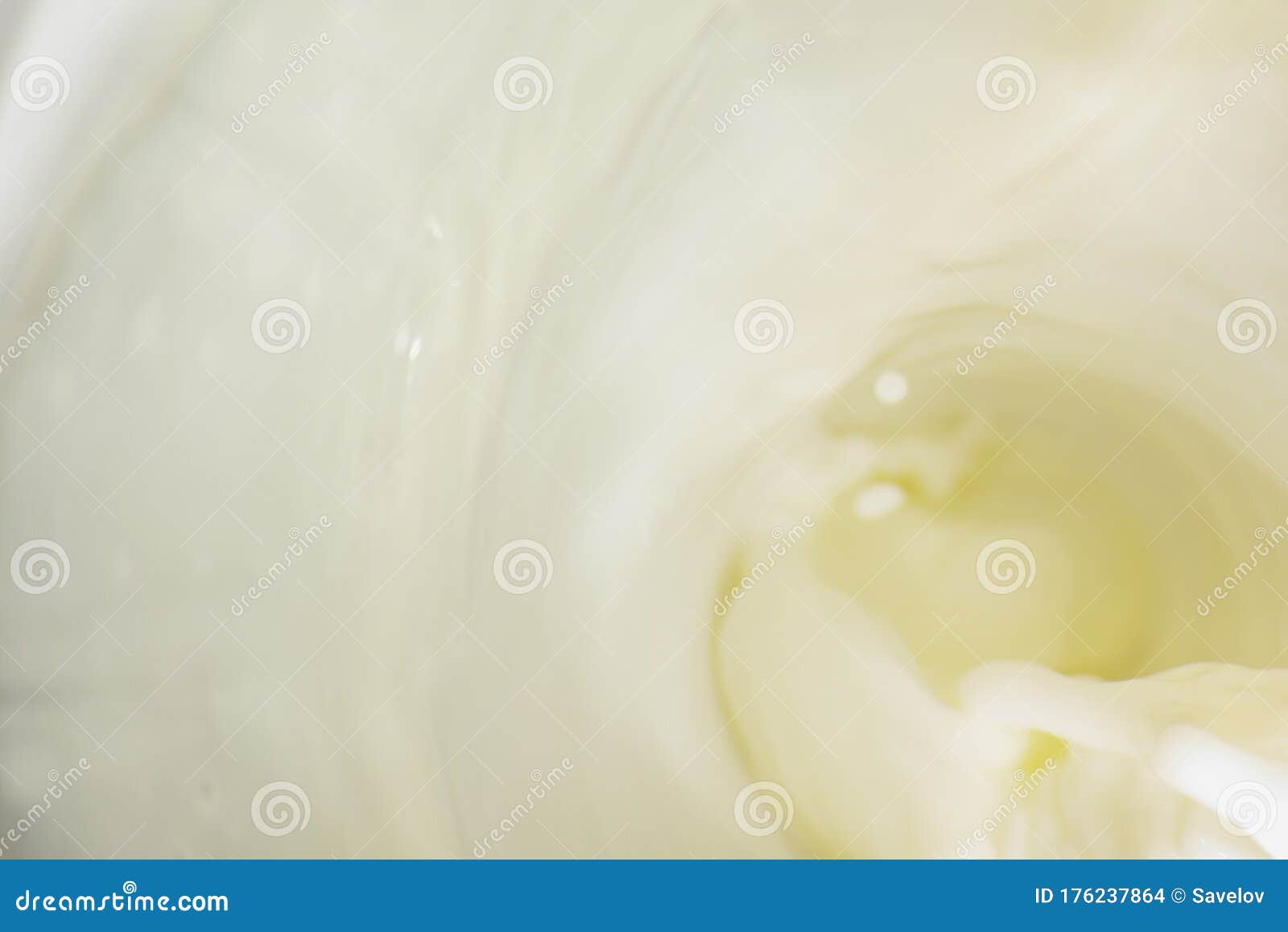 Bright Milk Surface with Splashes Stock Photo - Image of flow ...