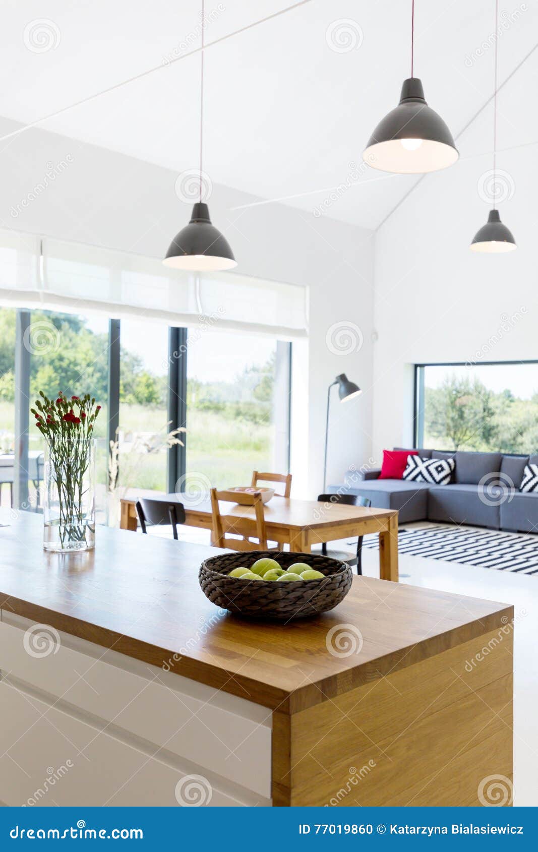 Bright modern house stock photo. Image of spacious, room - 77019860