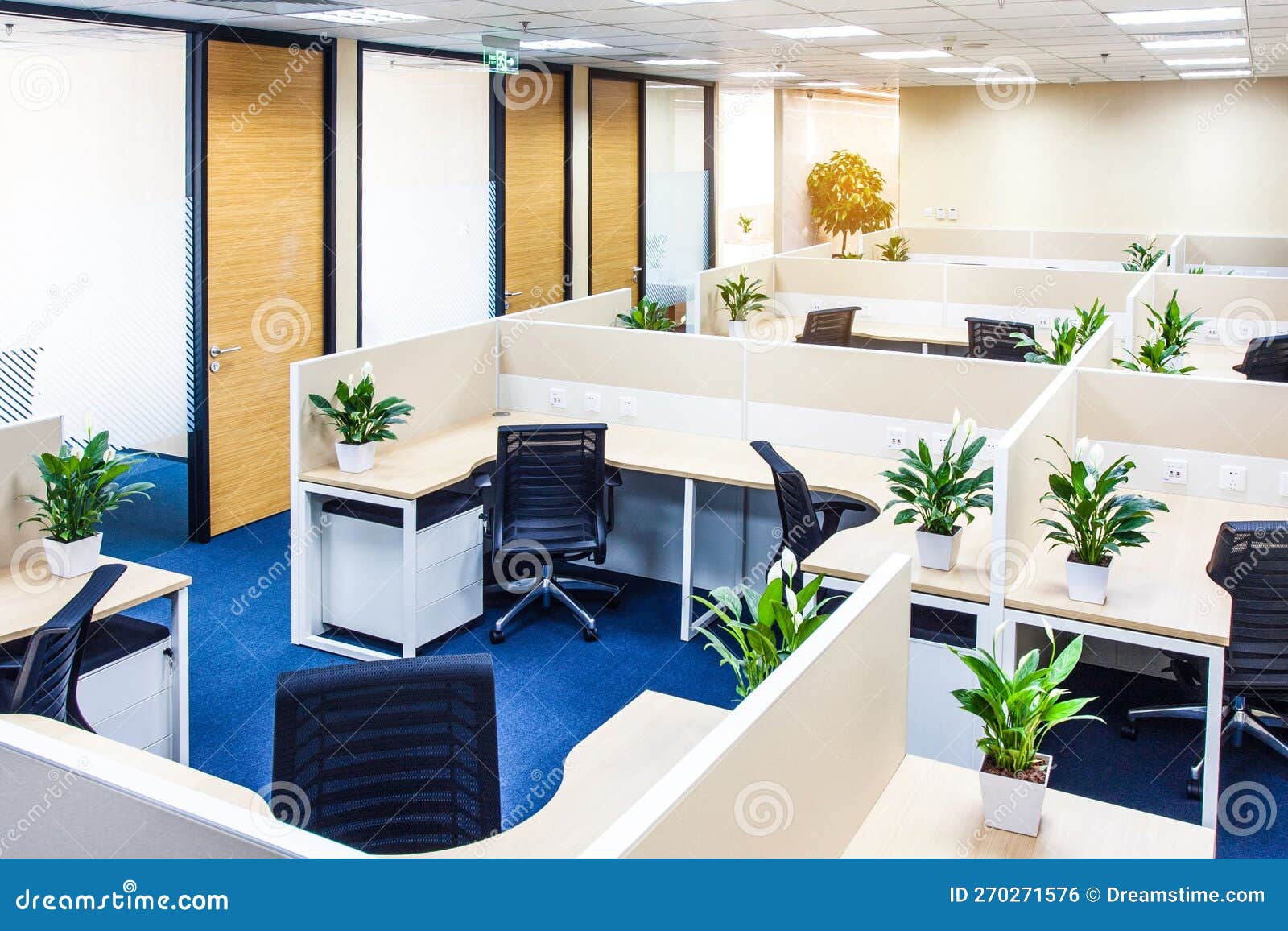 Bright and Modern Office Space Featuring Cubicles with Potted Plants ...