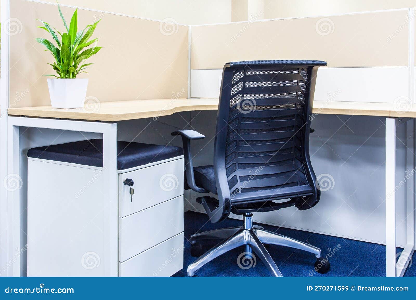Bright and Modern Office Space Featuring Cubicles with Potted Plants ...