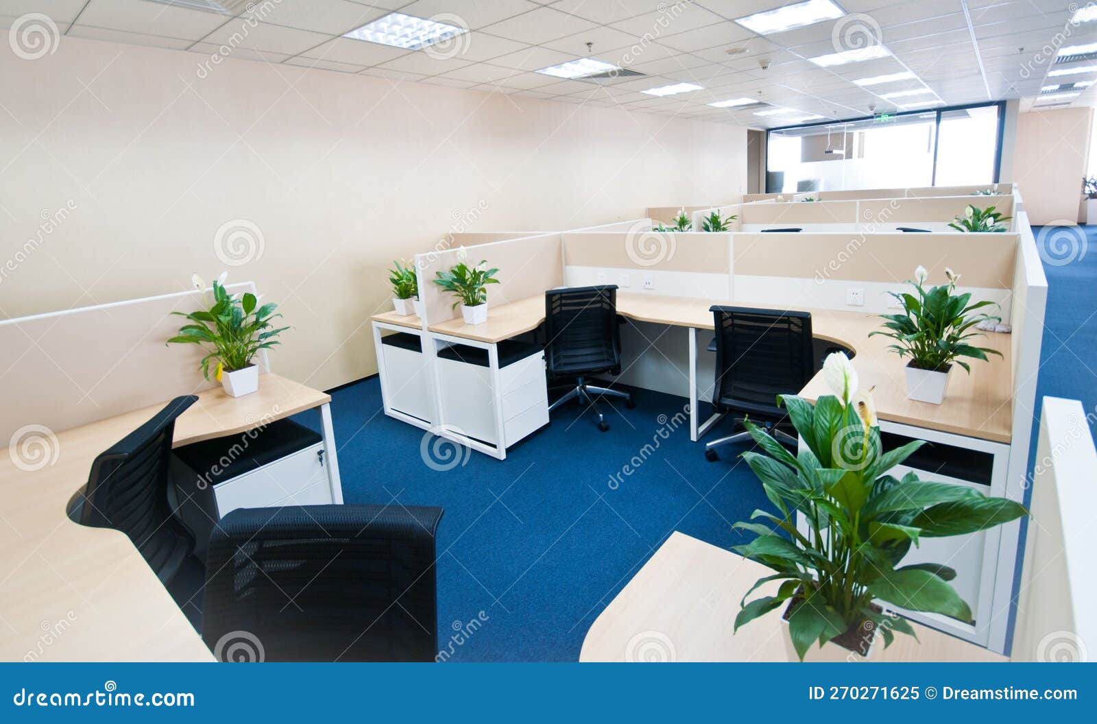 Bright and Modern Office Space Featuring Cubicles with Potted Plants ...