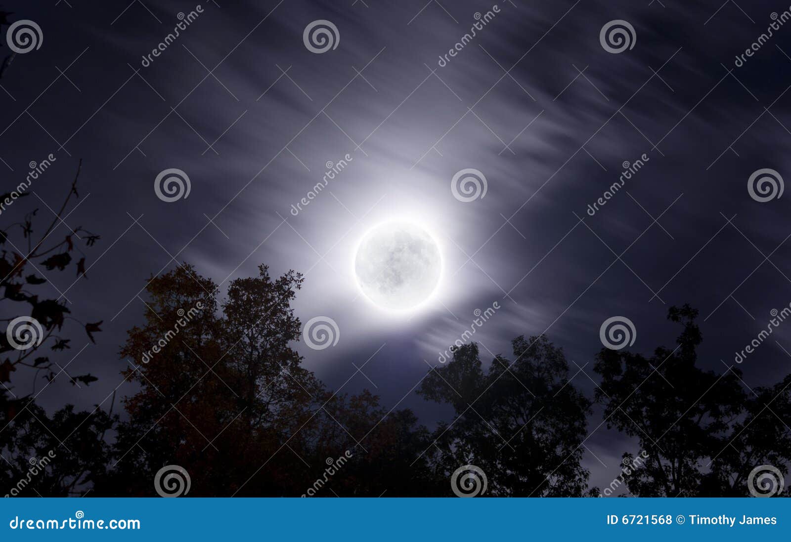 Bright Moon on Fall Night with Clouds and Foliage Stock Photo - Image ...