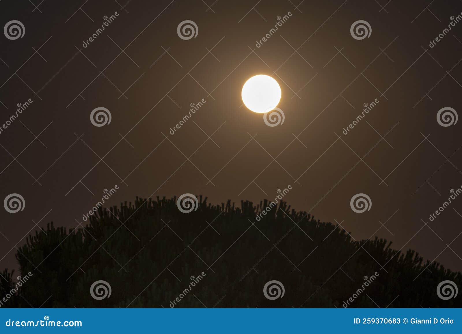 Bright Moon in the Night Sky Stock Image - Image of explore, glowing ...